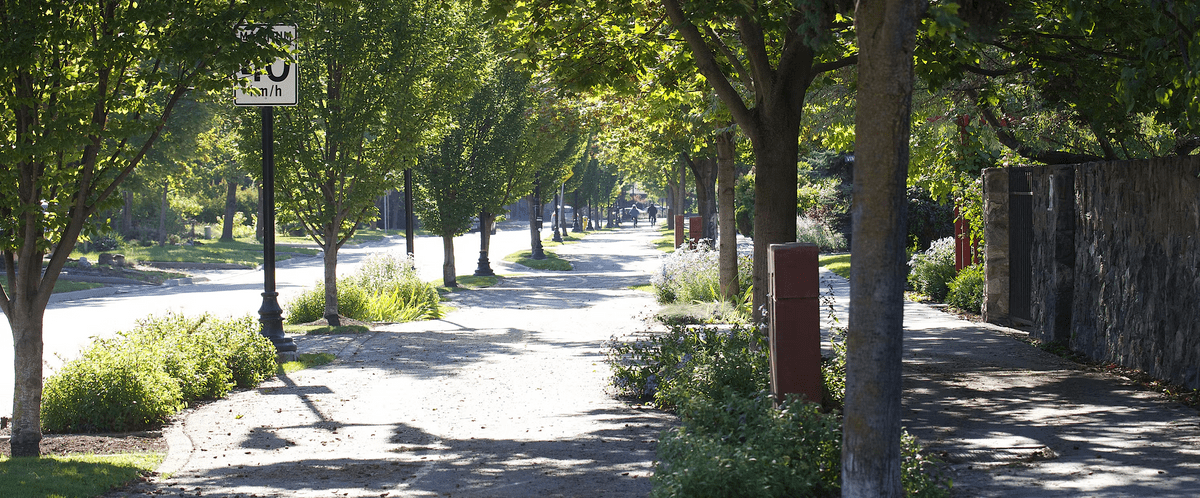 "A Focus on Building the New," with an Introduction fro...