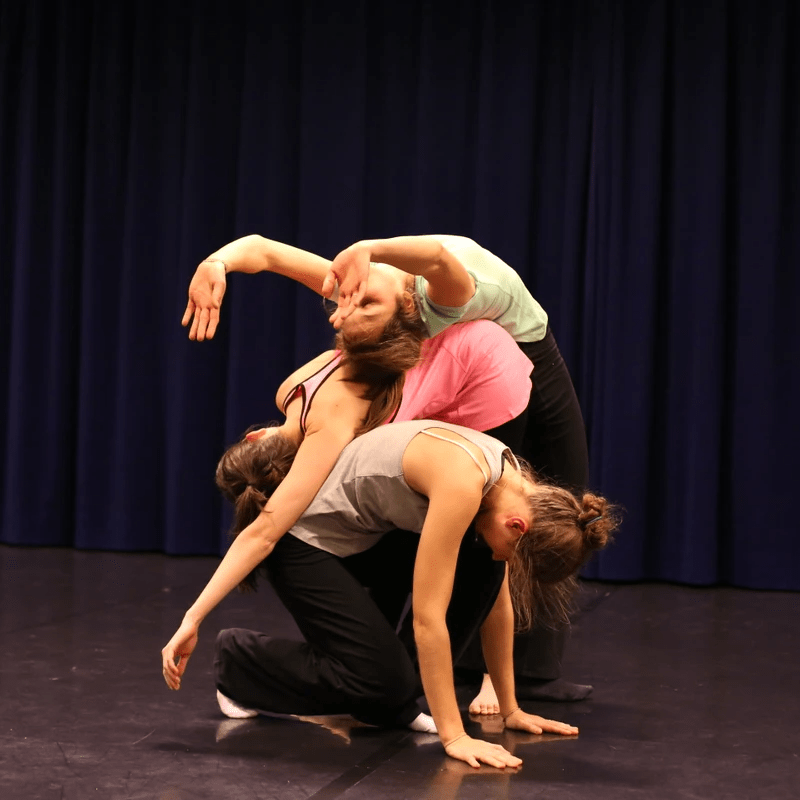 STAGES - Danse Création