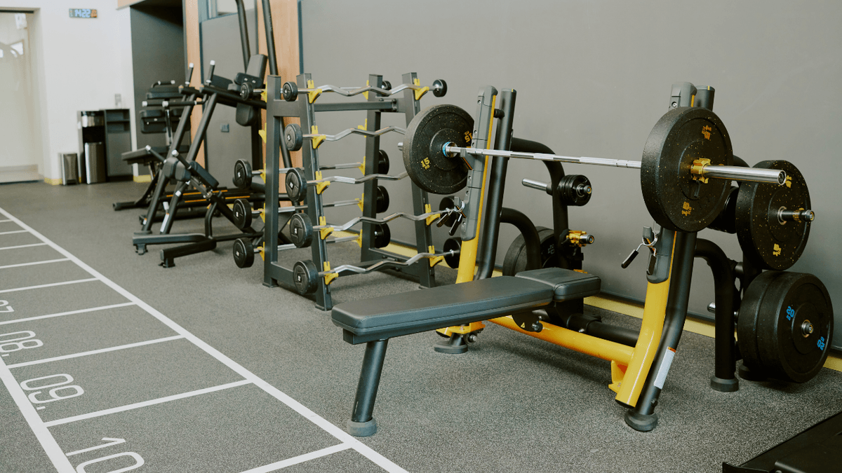Most Common Gym Exercise Equipment and Their Uses - Fit...