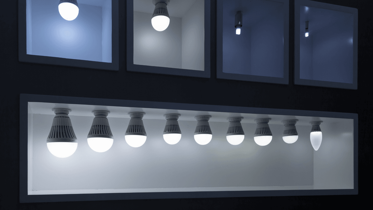 Exploring the Different Sizes of Neon Bulbs: Which One ...