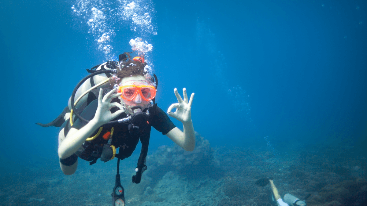Diving Koh Tao: Explore Thailand’s Most Famous Dive Sit...