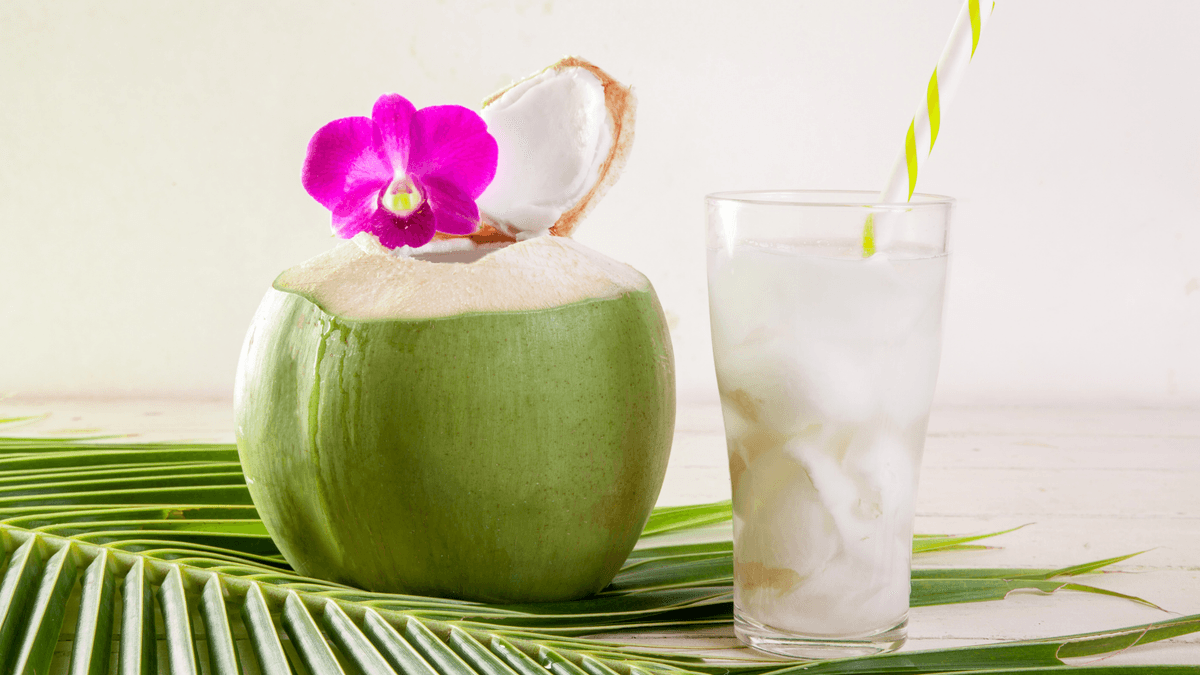 The Journey of a Coconut in Thailand: From Tree to Tabl...
