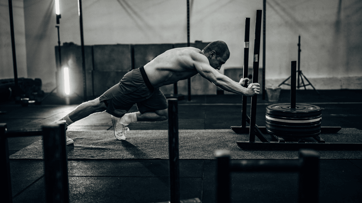 Choosing the Best Muscle Building Equipment for Faster ...