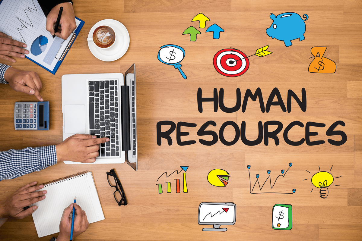 The Importance of Human Resources Training