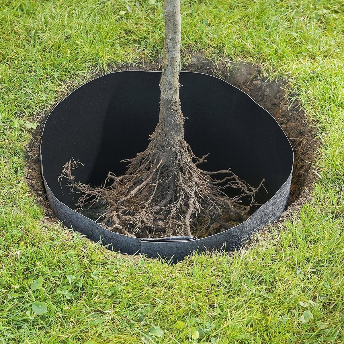 Roots at Bay: The Benefits of HDPE Root Barriers