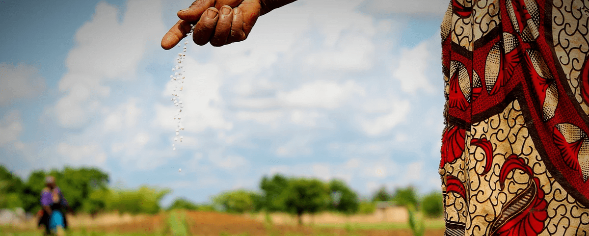 Sowing seeds of success - Climate Change Farming Cooper...