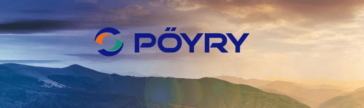 CASE: Intrapreneurship at Pöyry Plc. - Network