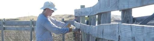 Best Fence Solutions in Cape Cod