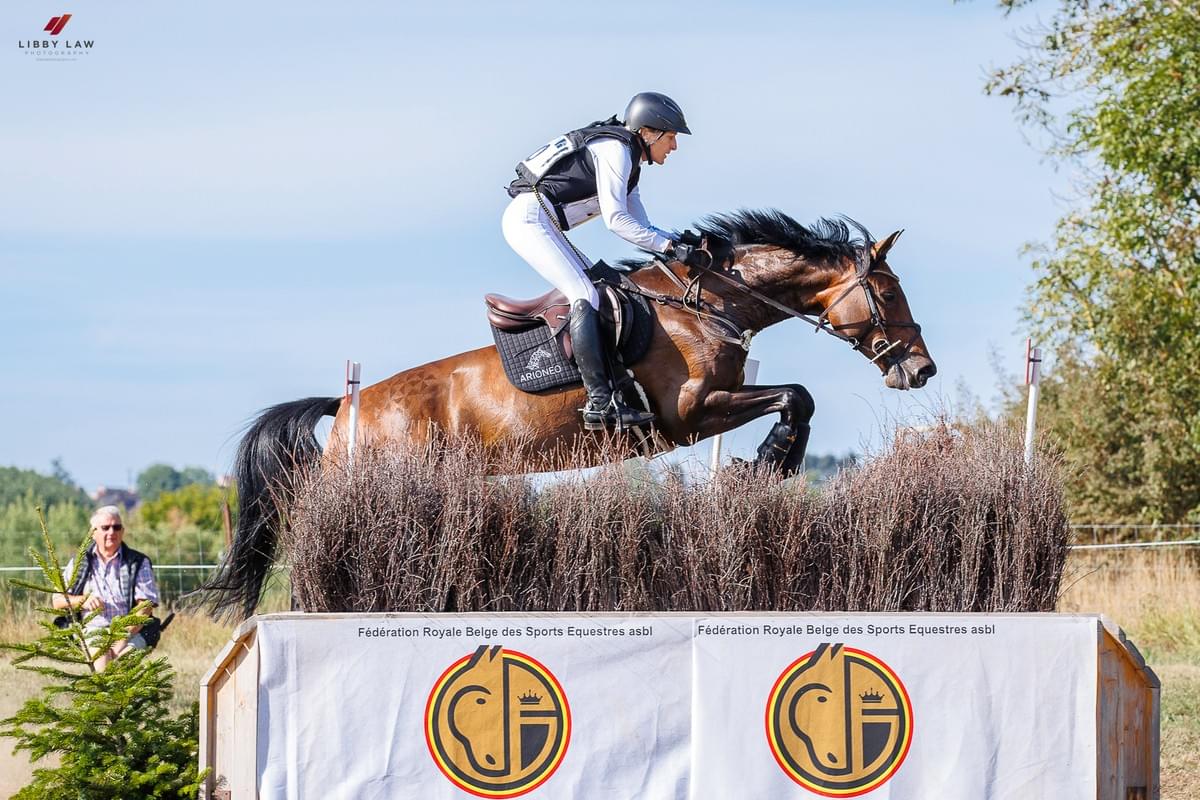 Arville 2023 en pratique