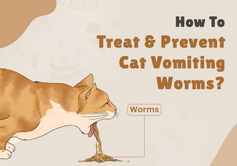 do cats vomit roundworms