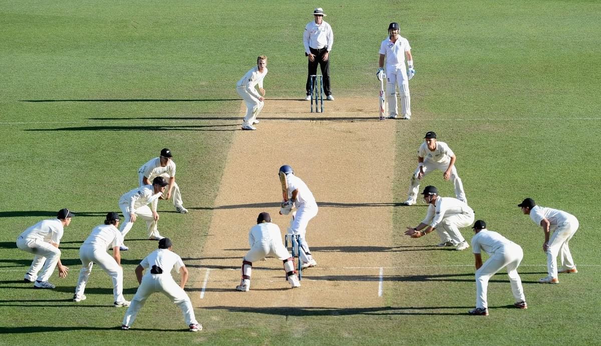 cricket playing surface