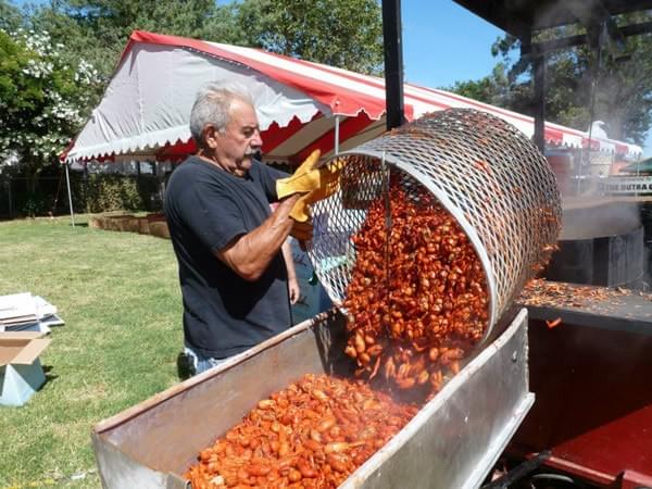 The Crawdad Festival