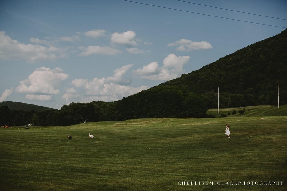 From Vows to Views: Unveiling the Spectacular Backdrops...