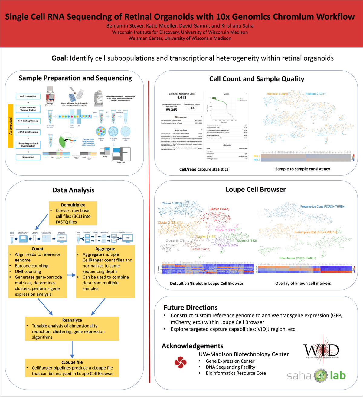 Single Cell RNA Sequencing of Retinal Organoids with 10...