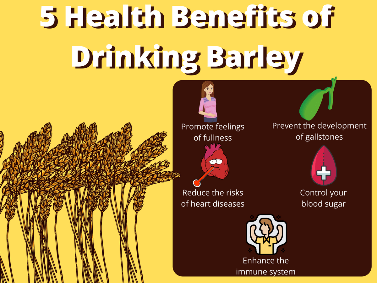 5 Health Benefits of Drinking Barley - beverage