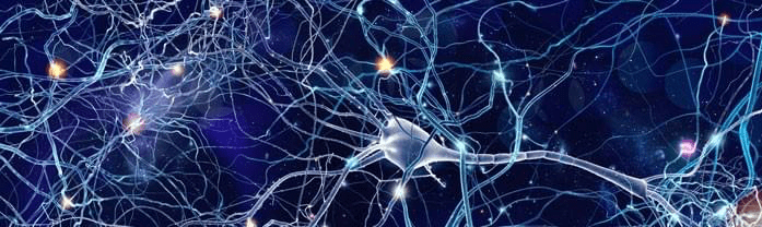 Summer Brings Exciting New Course: Clinical Psychology ...