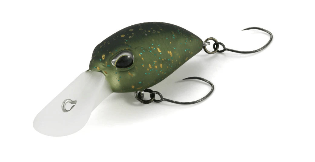 The Effectiveness of BFS Trout Plugs