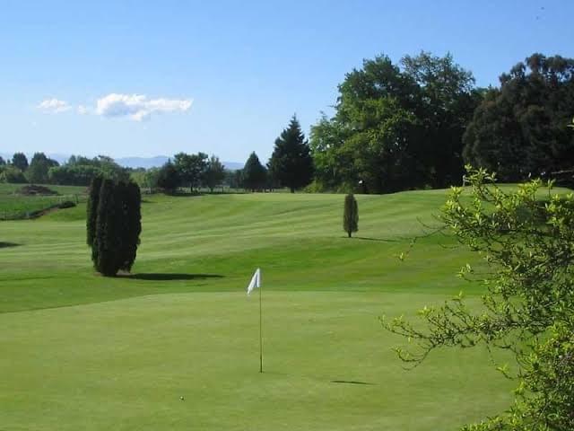 Carl Brooking Golf on Strikingly