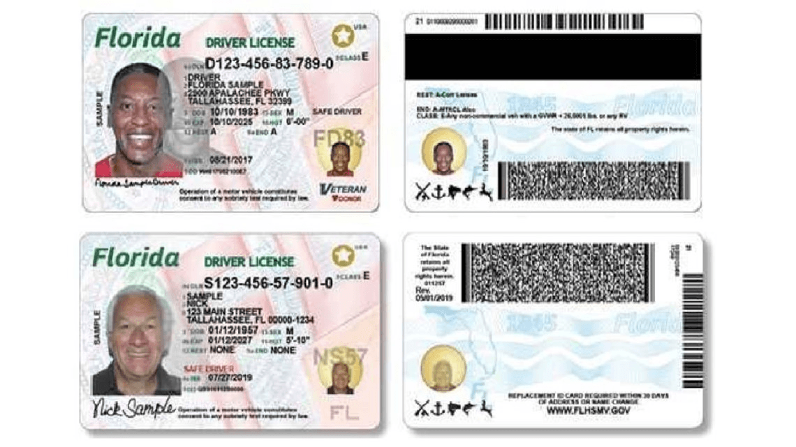 Check on status of drivers license fl
