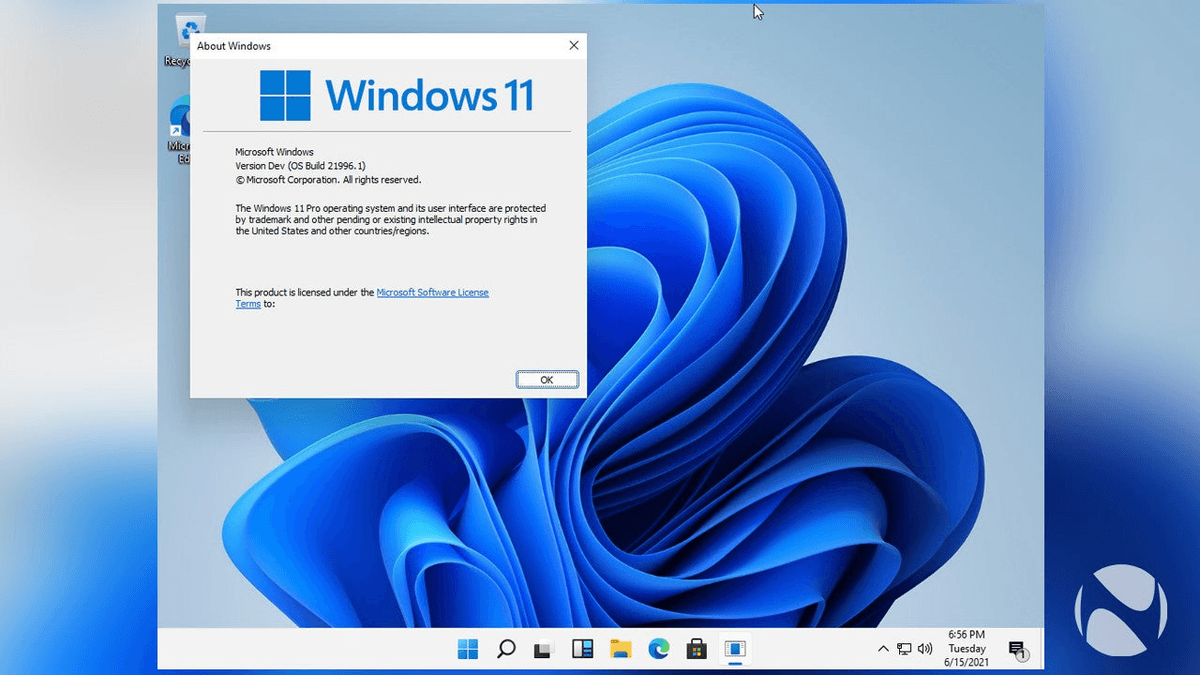 Windows 11 installer download