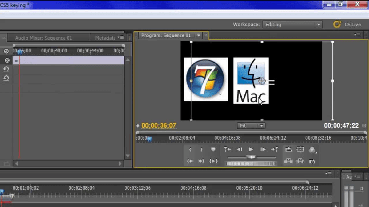Adobe premiere cs5.5 crash fix effects panel