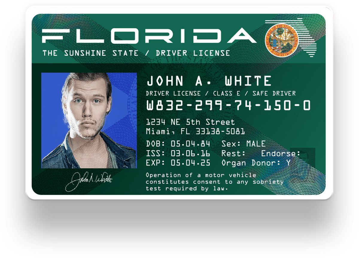 Florida state drivers license lookup