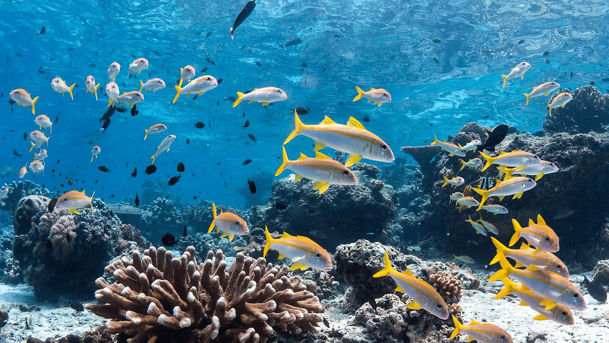 Windows 10 lock screen images