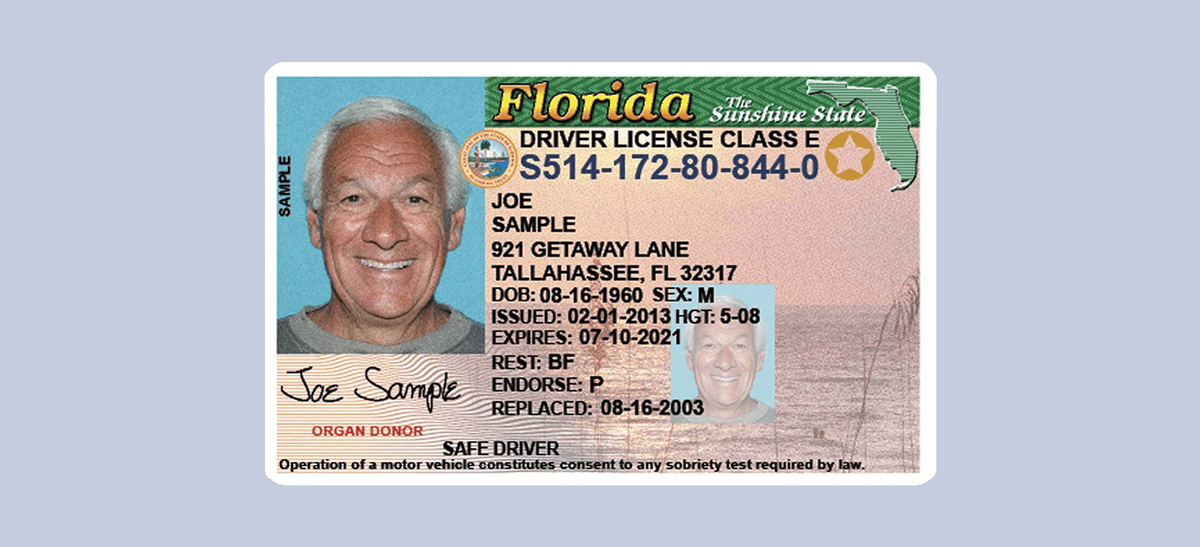 Florida state drivers license check