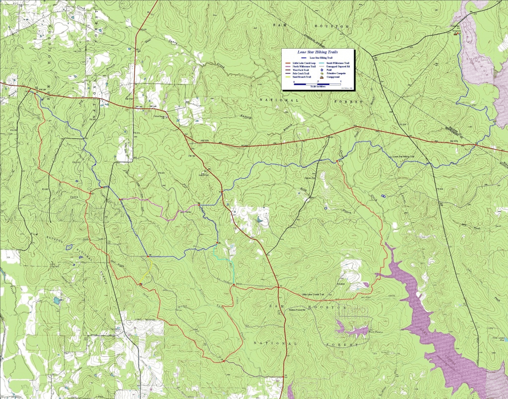 Houston topographic map elevation