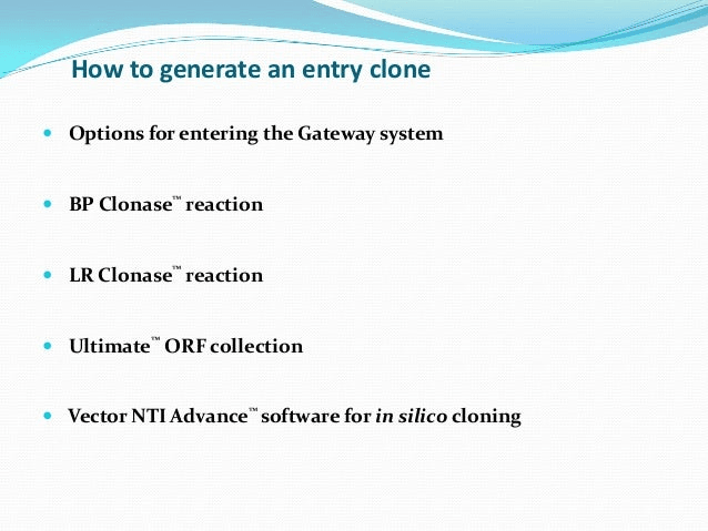 Vector nti advance 11 cracked