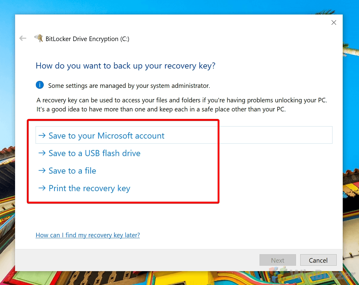 What is bitlocker for windows 10