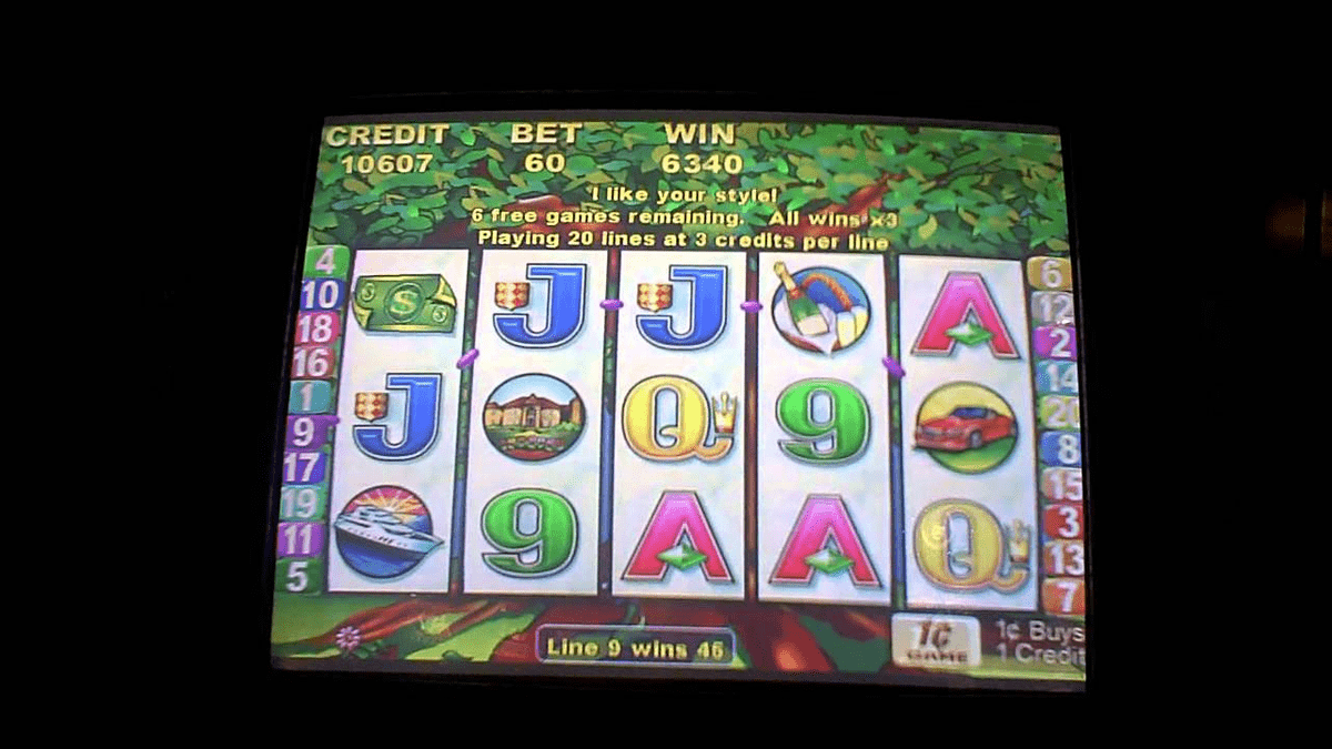Money coin tree slot machine