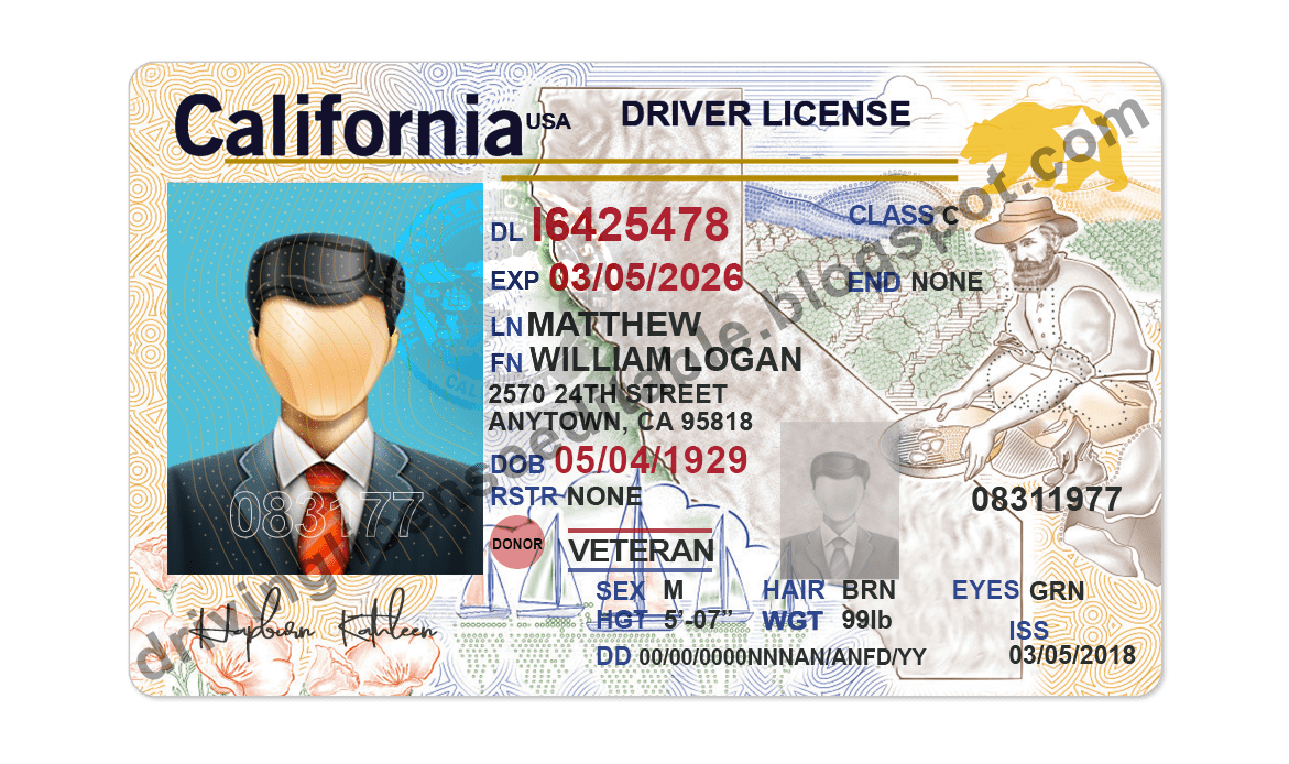 Driver license photoshop template
