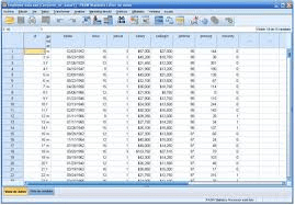 ibm spss statistics server