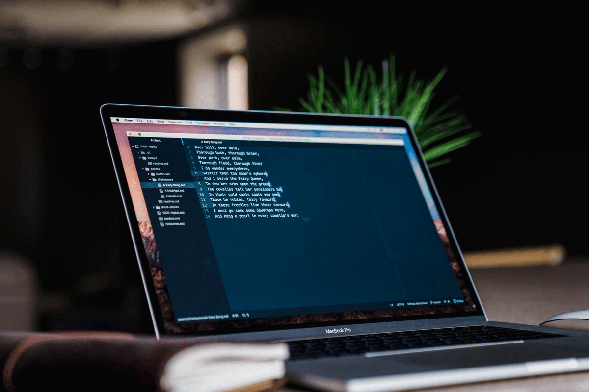 Text editor for mac os