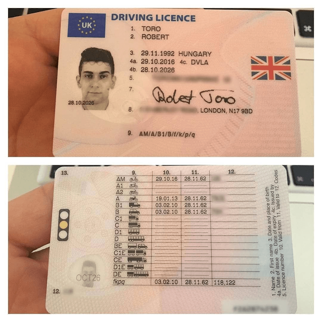 Licence check florida