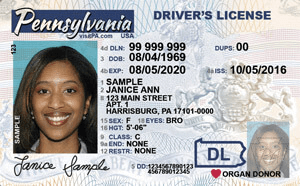 illinois driver's permit