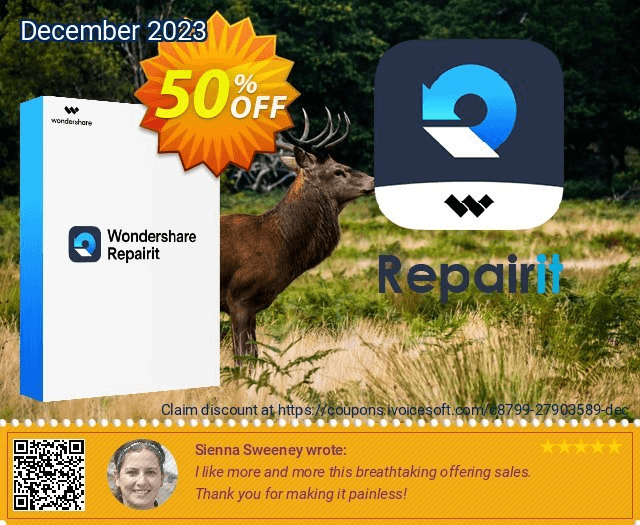 Wondershare repairit getintopc