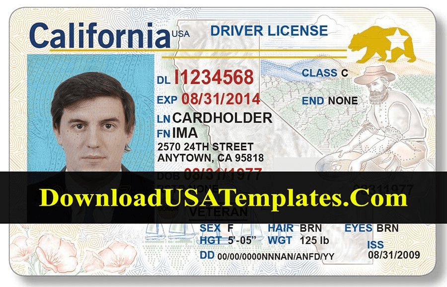 California drivers license template photoshop