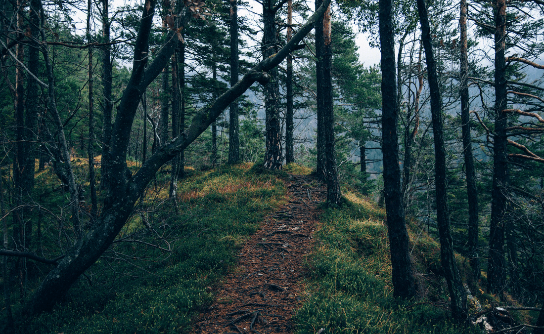 Psg design data book pdf free download mechanical