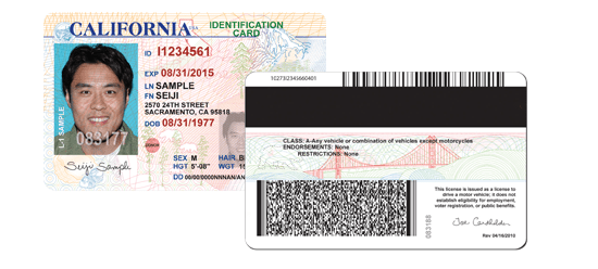 drivers license sample back