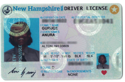 Fake nh drivers license template