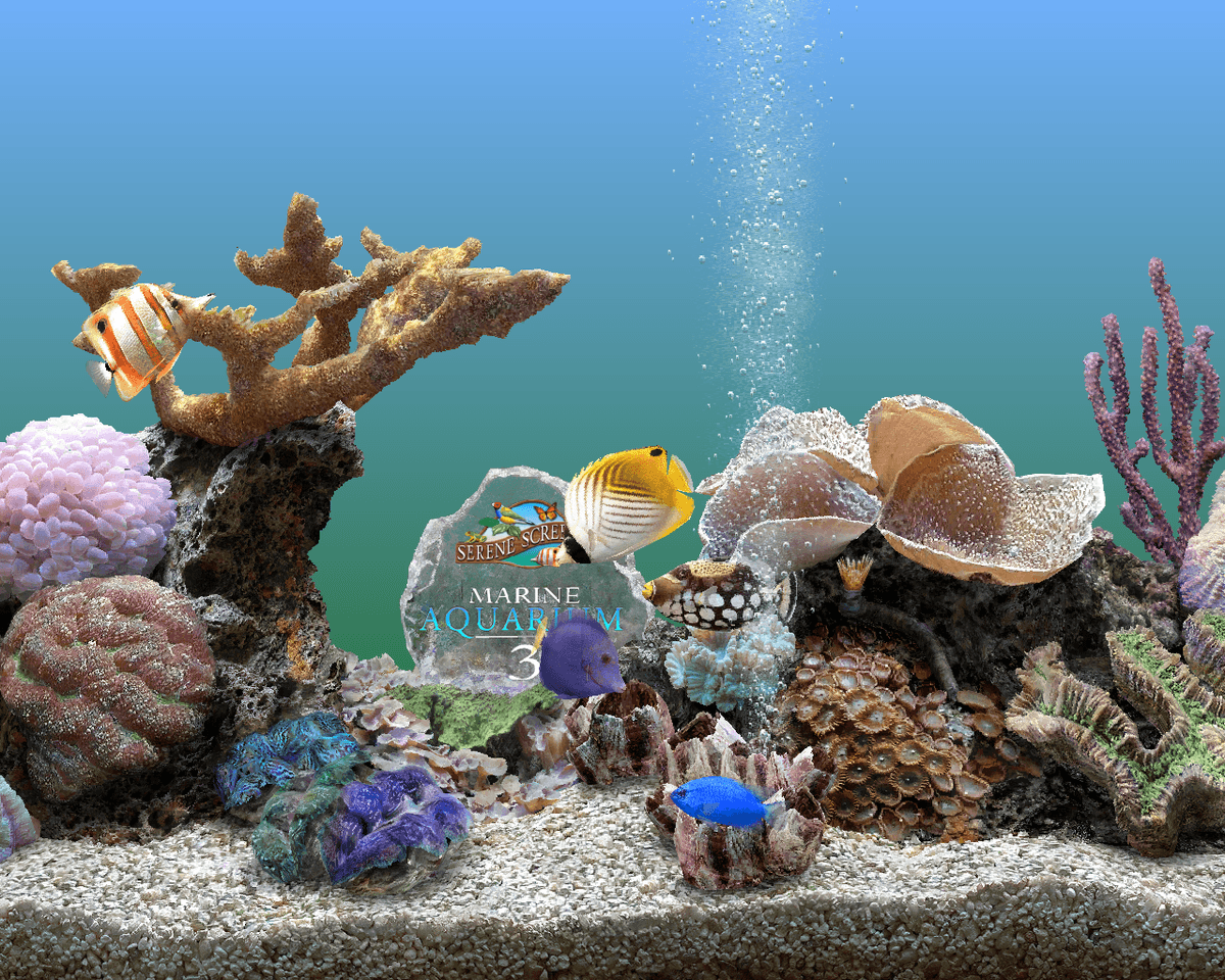 Serenescreen marine aquarium 3 serial key