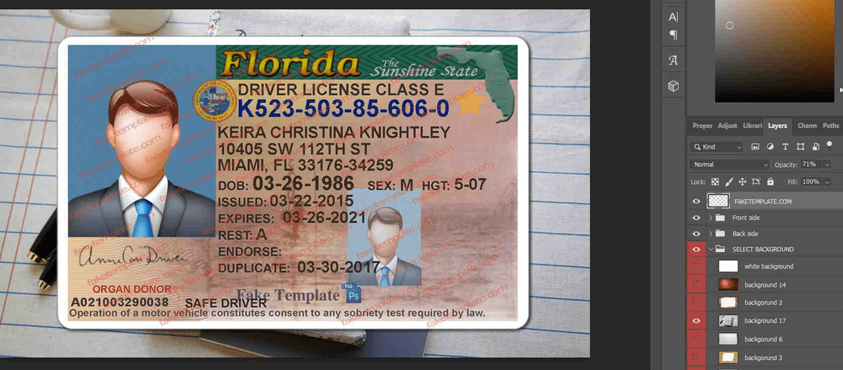 Florida drivers license template psd torrent