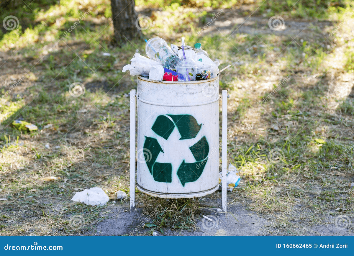 Sims 4 outdoor trash can overflowing