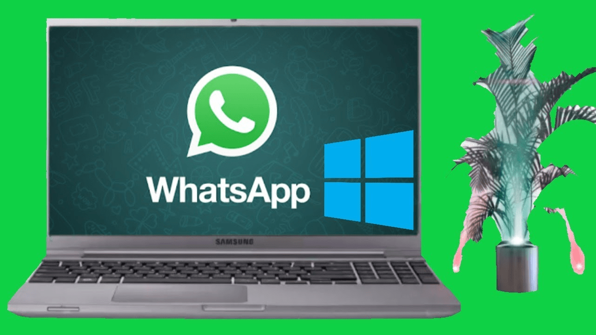 Whatsapp Desktop For Windows 10 Is Now Available For Download