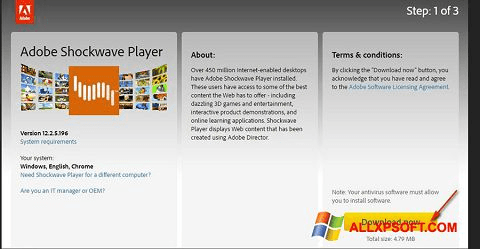 Shockwave adobe flash player