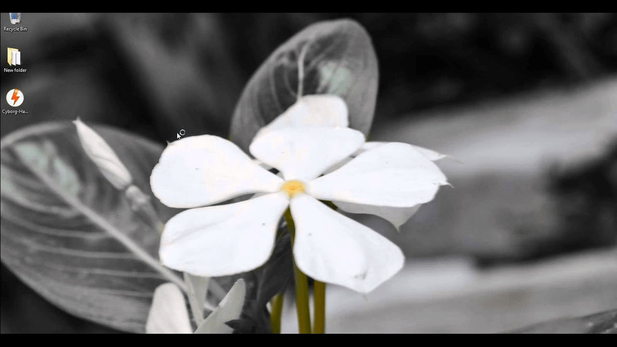 Cyborg hawk linux iso download