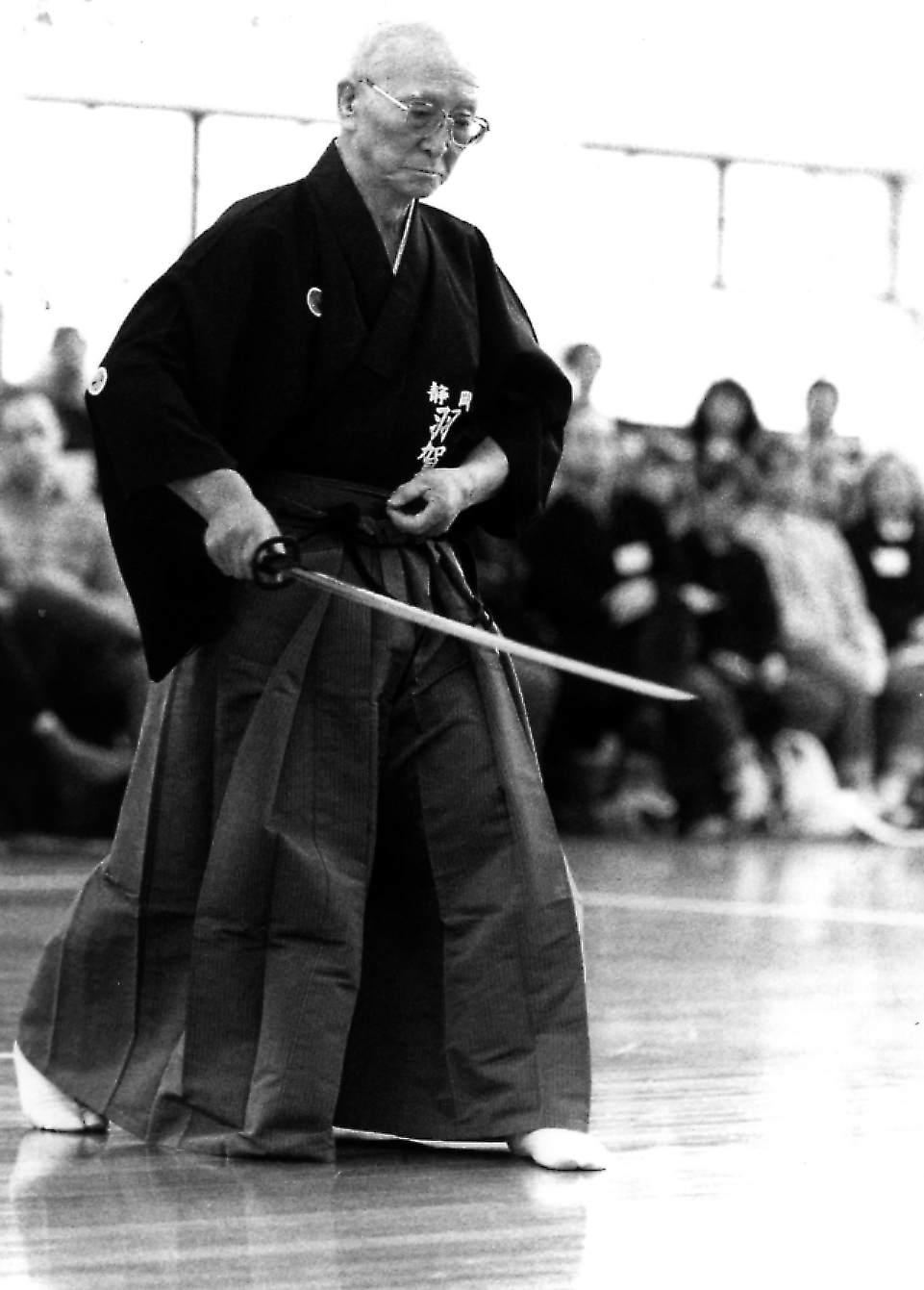 Samurai iaido stance
