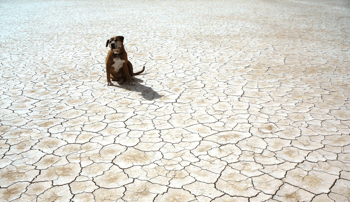 Power grid quest wow